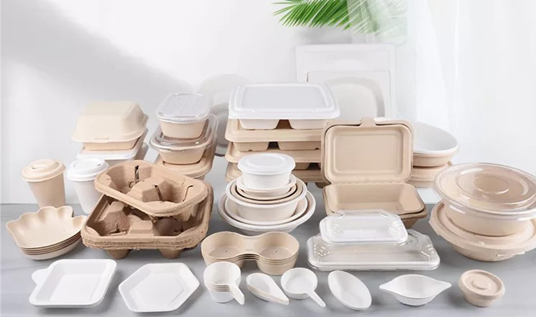 Eco-Friendly Disposable Food Packaging Solutions